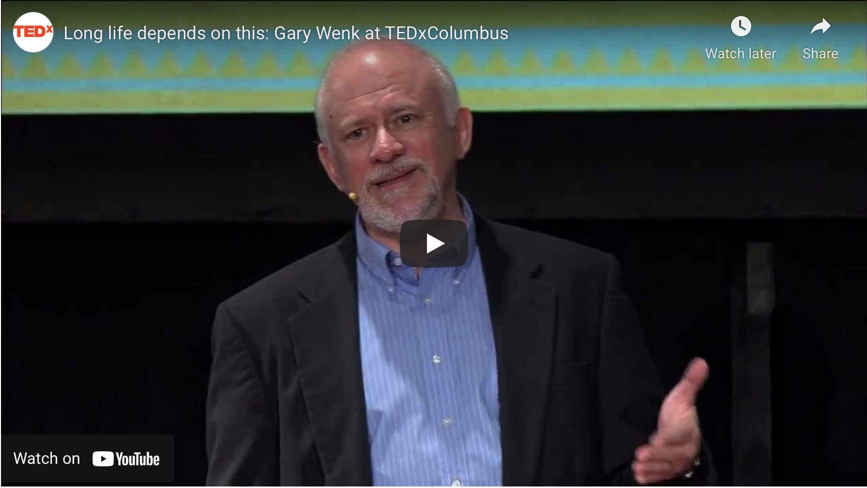 Understanding How the Brain Functions - Articulation Inc